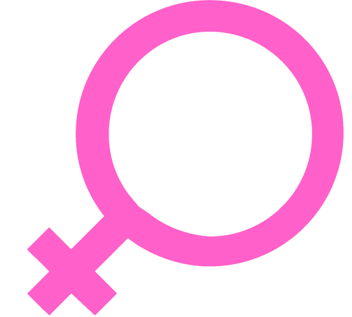 Meta Horse | Digital Horse Racing